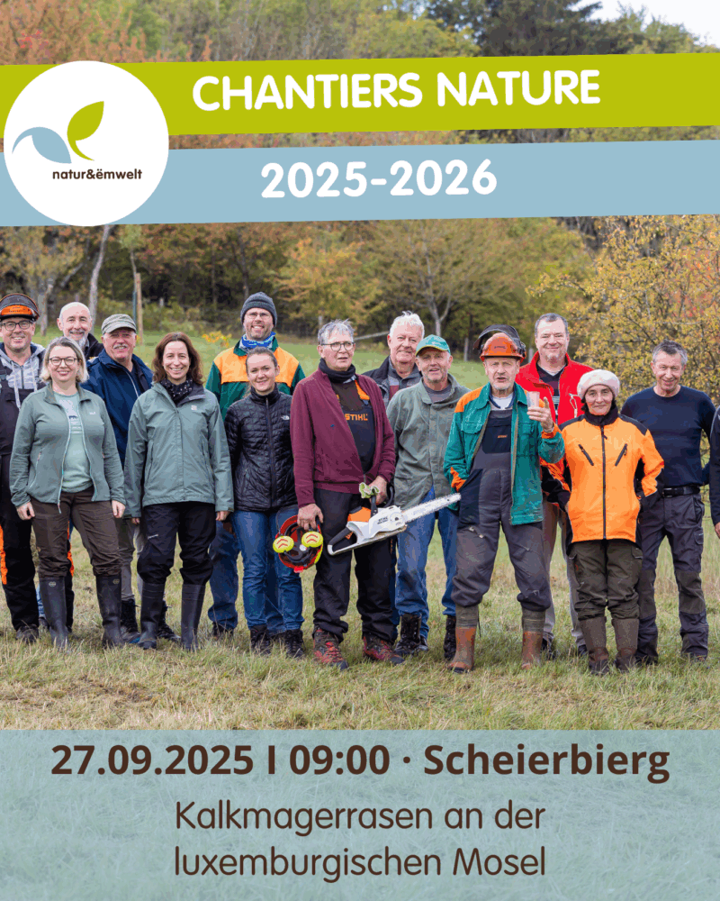 Chantiers Nature 2025/2026 - natur&ëmwelt a.s.b.l.